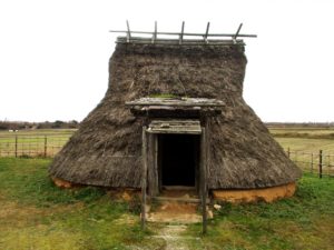 弥生時代の暮らしとは？衣食住の謎と争いが始まった理由についても！ | 歴史伝